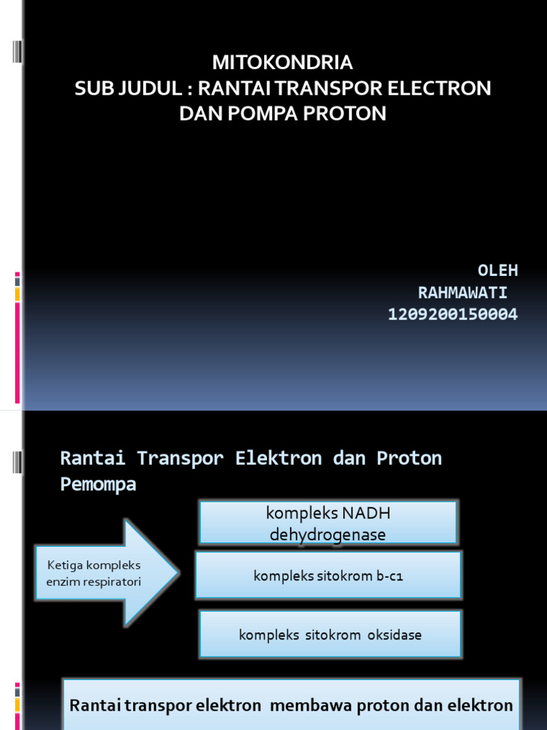 Mitokondria Sub Judul: Rantai Transpor Electron Dan Pompa Proton | PDF