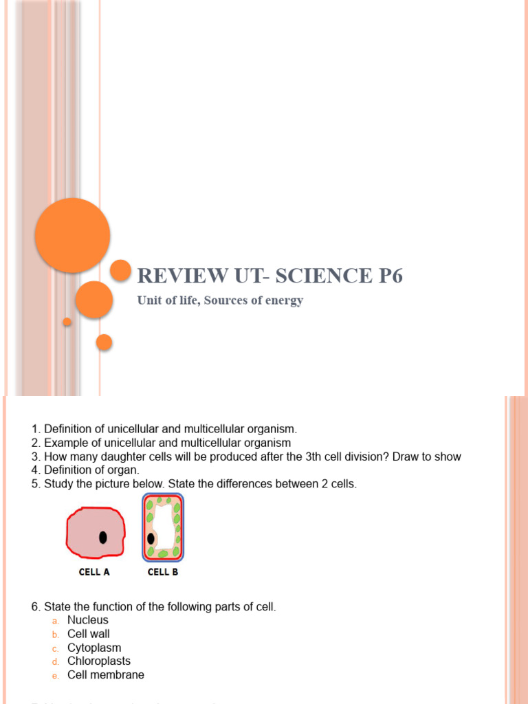 UT Review Term 1 - Science | PDF | Cell (Biology) | Energy Development