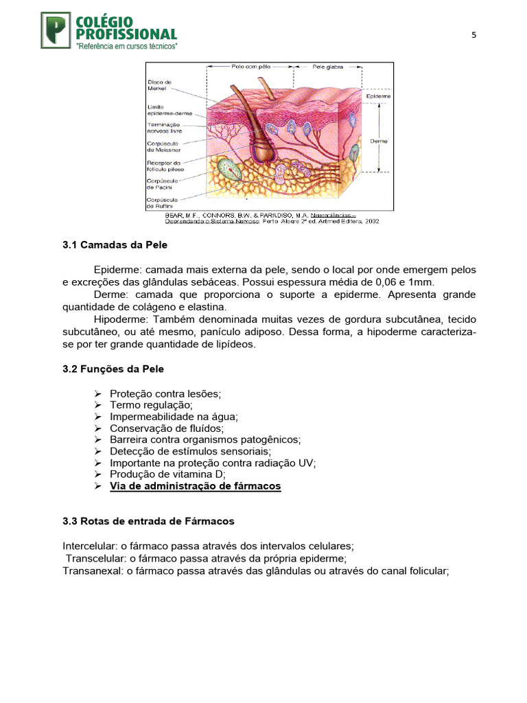 Aula 04 - Apostila - Fisiologia e Histologia da pele e anexos | PDF | Emulsão | Solubilidade