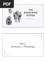 Lab Values Cheat Sheet and Mnemonics | PDF | Creatinine | Kidney