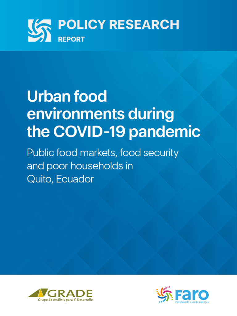 Hollenstein, Ortiz (2024) - Urban Food Environments During The COVID-19 ...