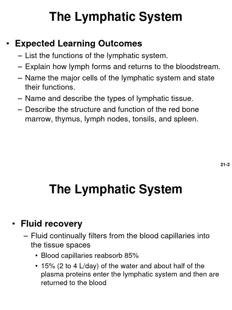 Lench | PDF | Lymphatic System | Lymph Node