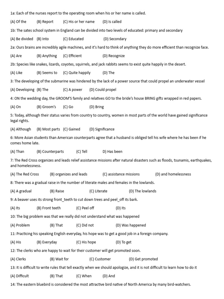 Grammar Error Identification Guide | PDF