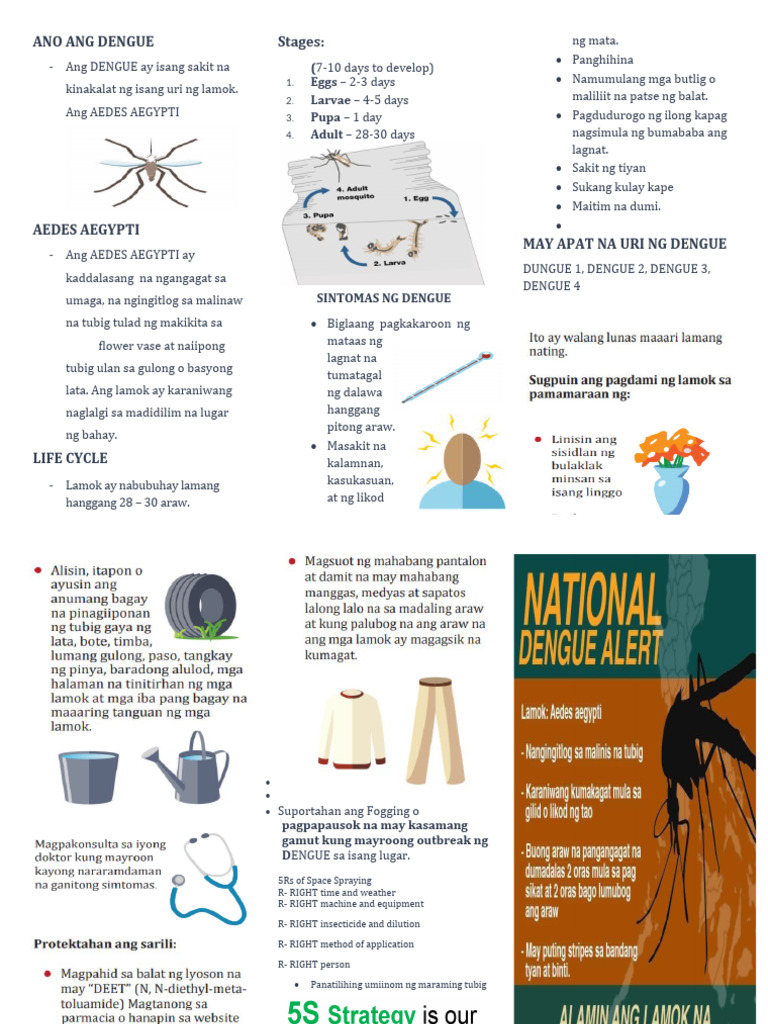 Dengue Flyers | PDF