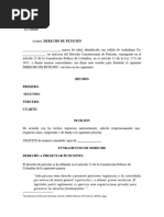 Articulo 23 de La Constitucion Politica | PDF