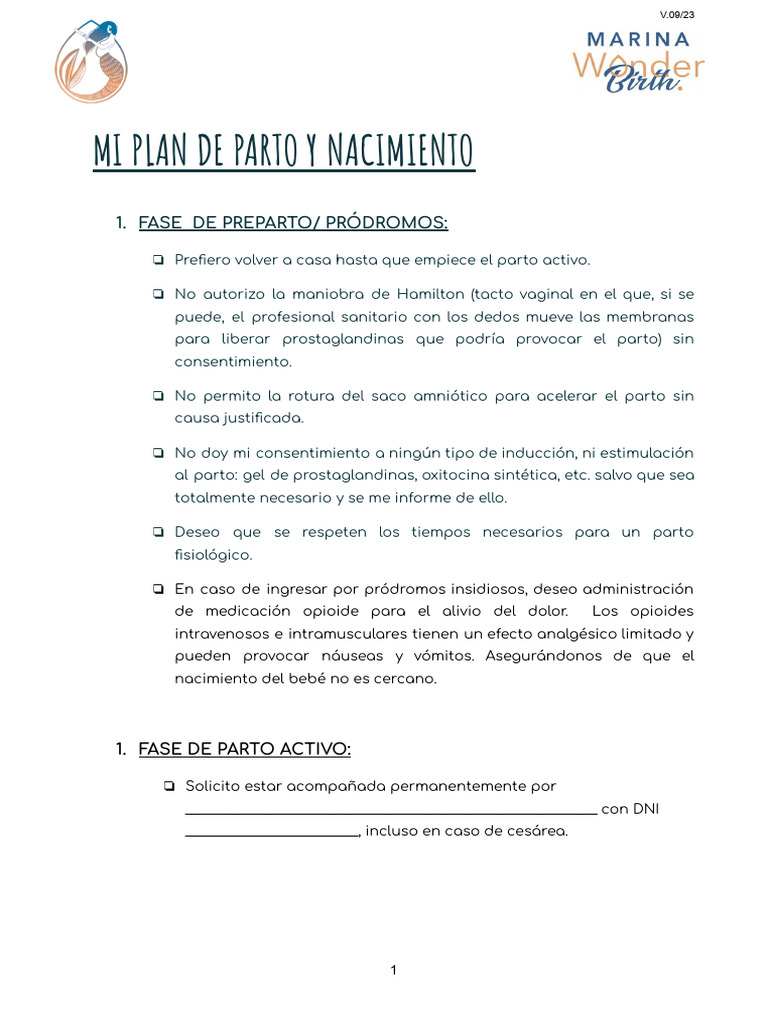 Modelo Plan de Parto Marina Wonderbirth | PDF | Parto | Medicina