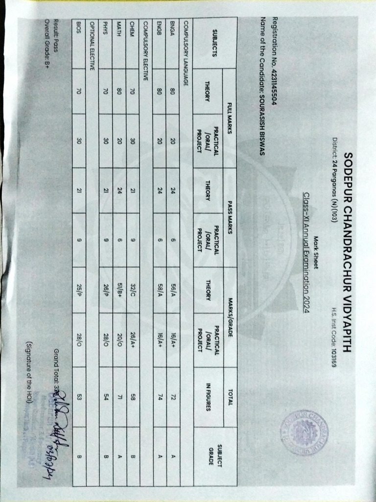 Sourasish Biswas (Class 11 Marksheet) | PDF