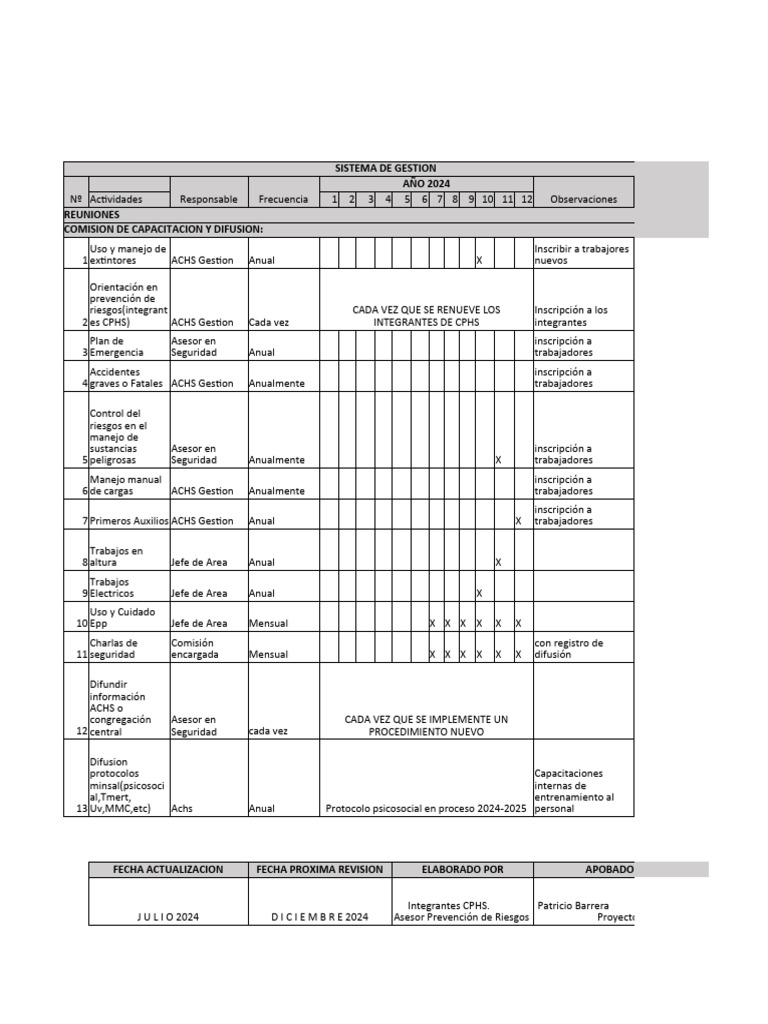 17 Programa Comite Paritario Detalle | PDF