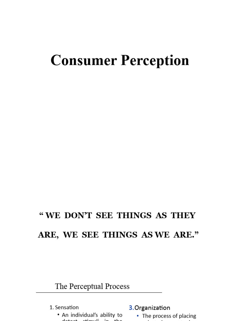 2 Consumer Perception | PDF | Perception | Senses