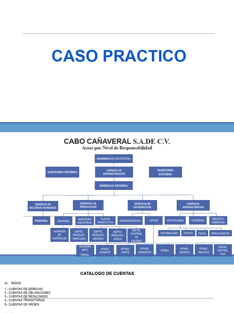 Caso Practico | PDF | Presupuesto | Business