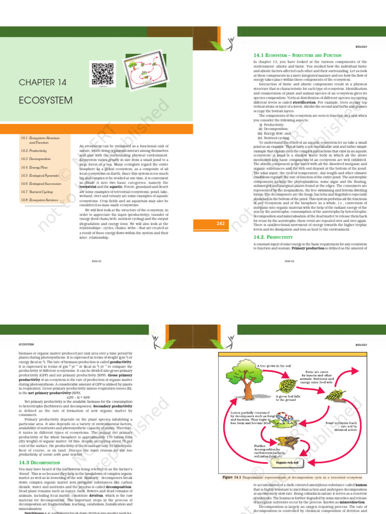 Ecosystem | PDF | Ecosystem | Primary Production