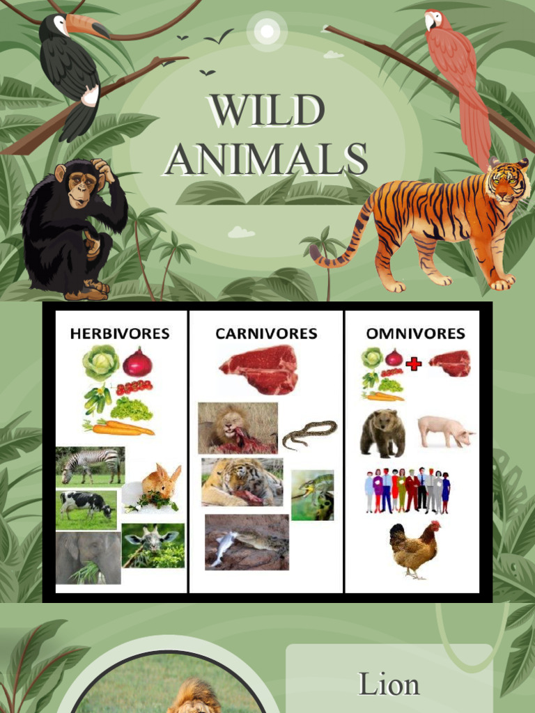 Wild Animals | PDF | Home & Garden