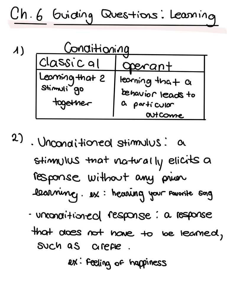Ch6 Guiding Questions PSY | PDF