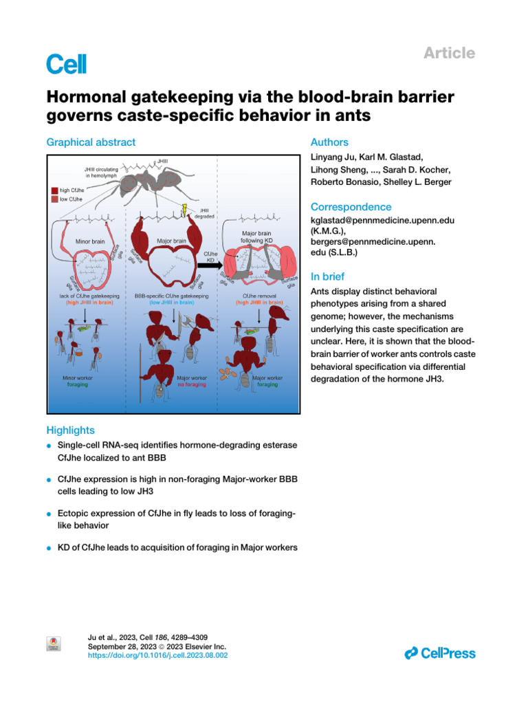 Ant S Behavior Pdf Eusociality Gene Expression
