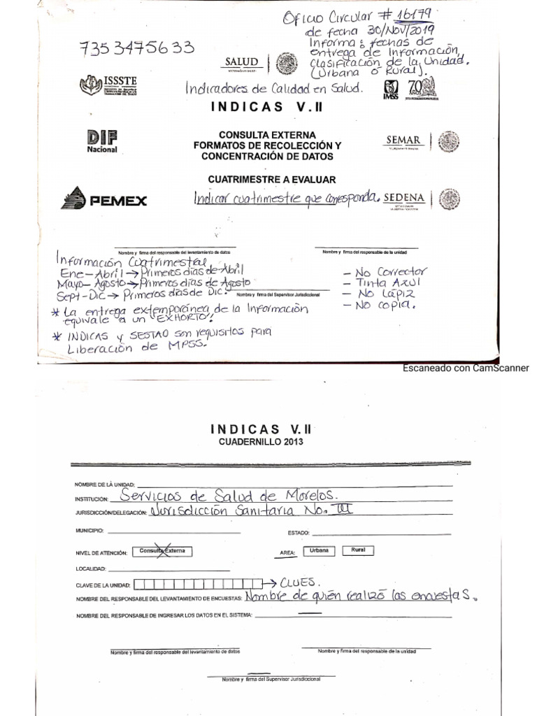 Instructivo Llenado INDICAS | PDF