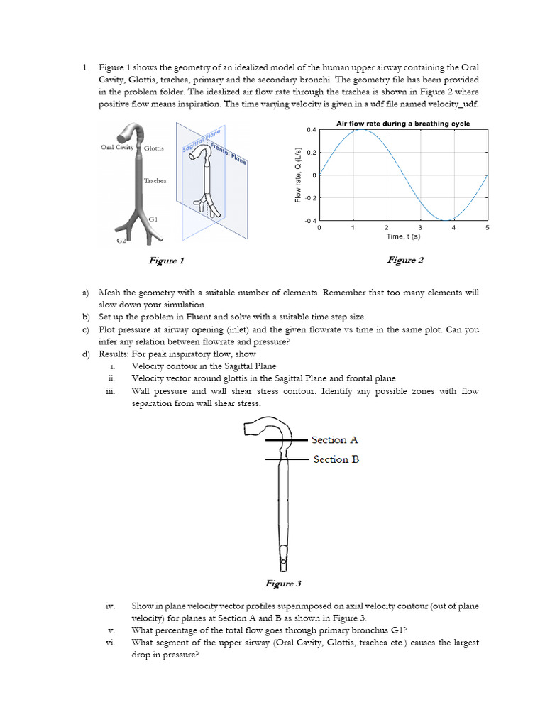 Practice Question | PDF