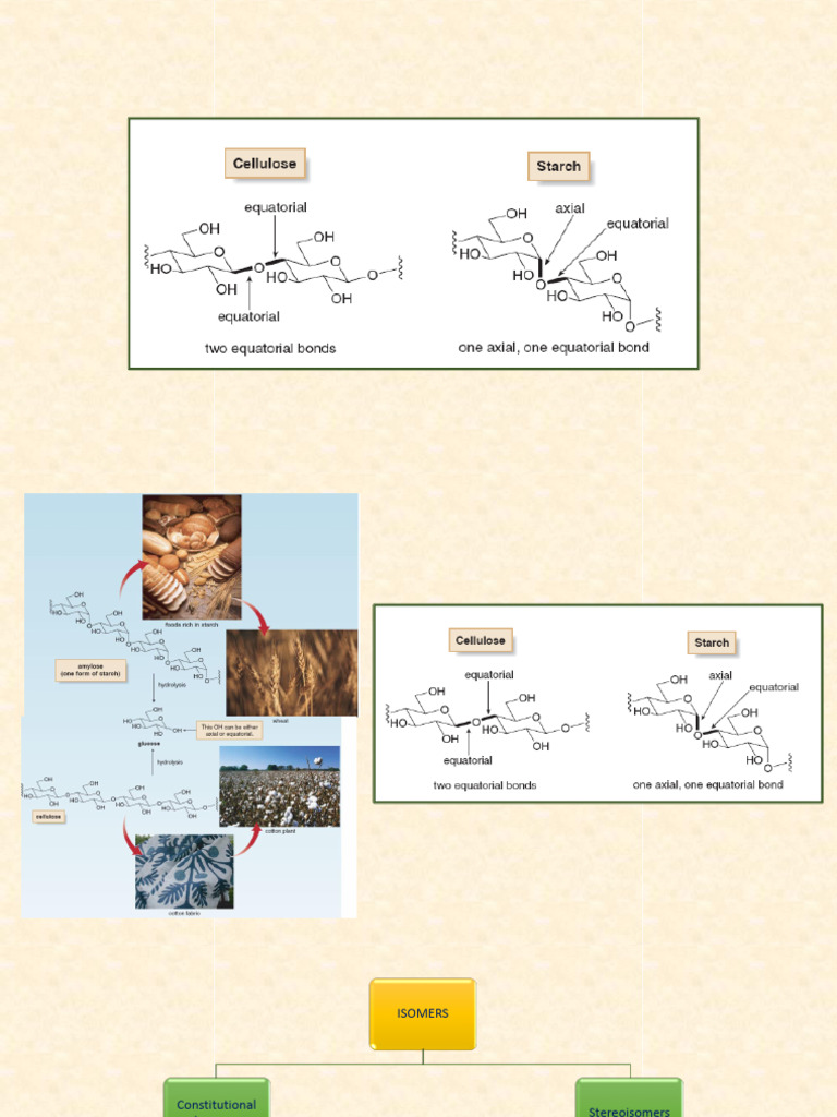 Stereochem For BSA | PDF | Chirality (Chemistry) | Isomer