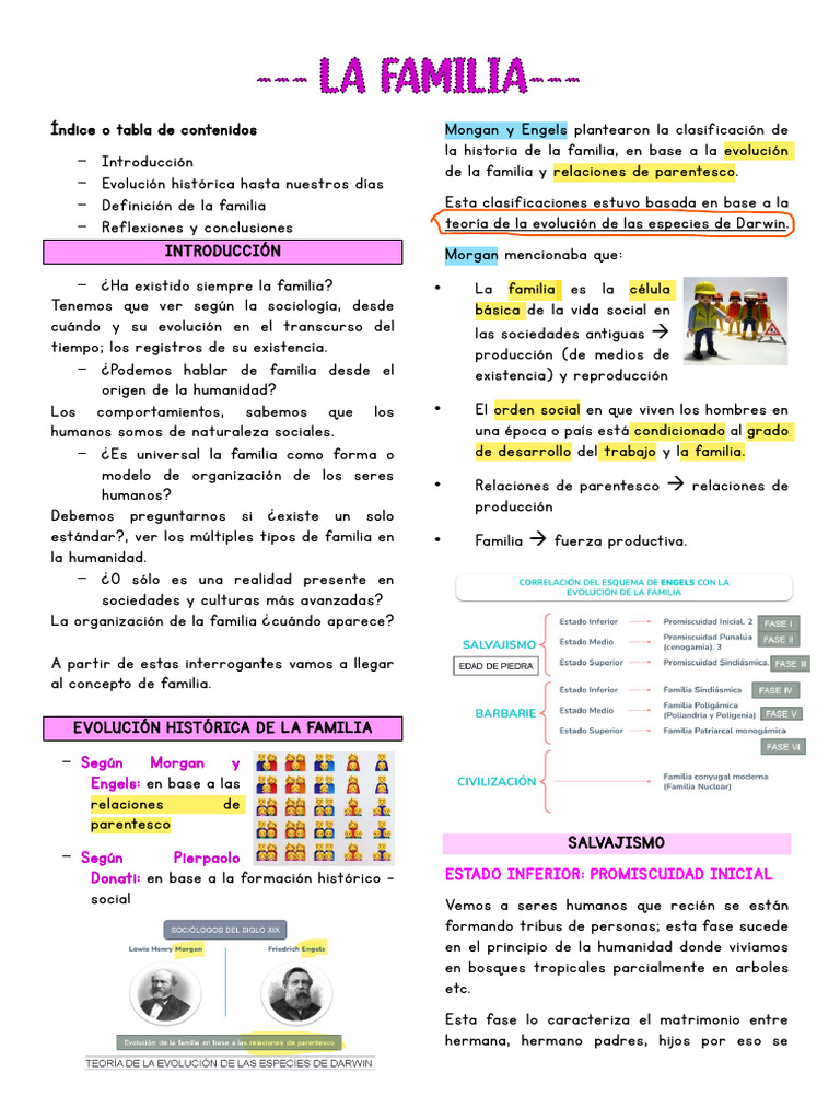 Evolución y Concepto de Familia | PDF | Familia | Sociedad