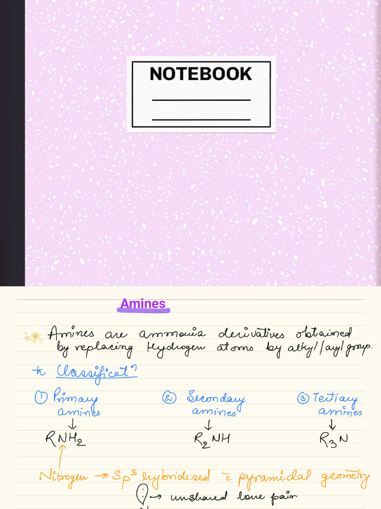 Amines Notes PDF | PDF