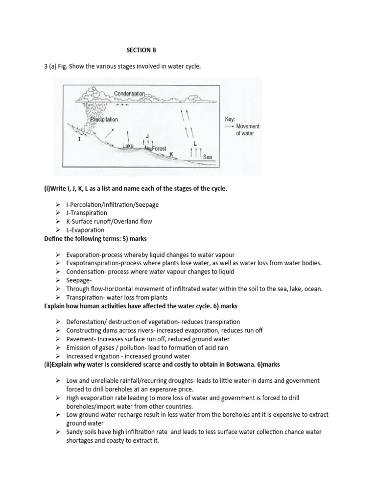 SECTION B Cycle &wet Land Questions-Key | PDF | Water | Wetland