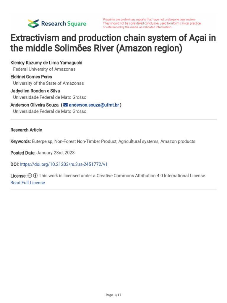 2023 Art-Extractivism and Productio Chain System of Acai DeLima | PDF