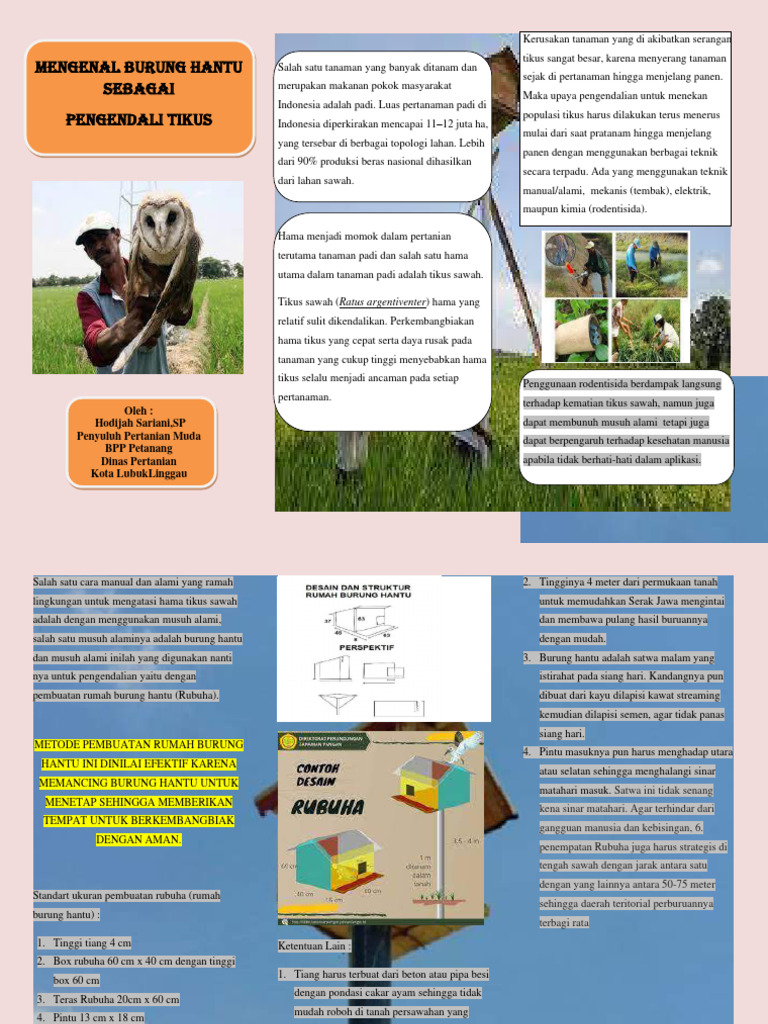 Leaflet Rubuha-Compressed | PDF