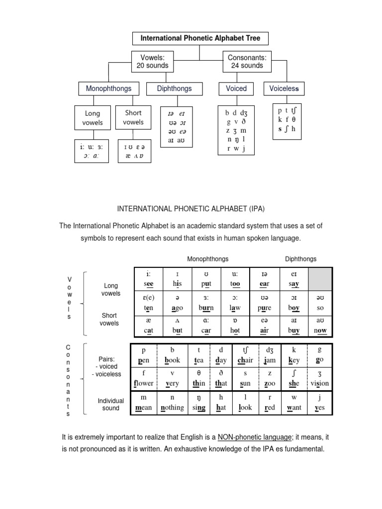 International Phonetic Alphabet Tree | PDF | Vowel | Phonetics