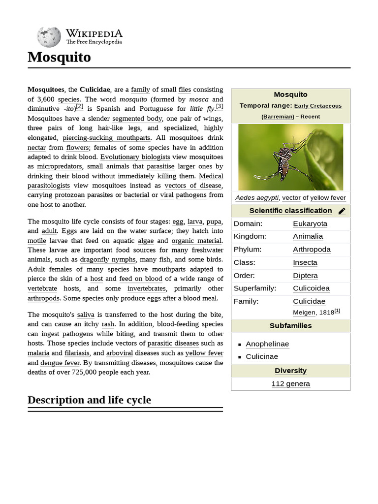 Mosquito | PDF | Mosquito