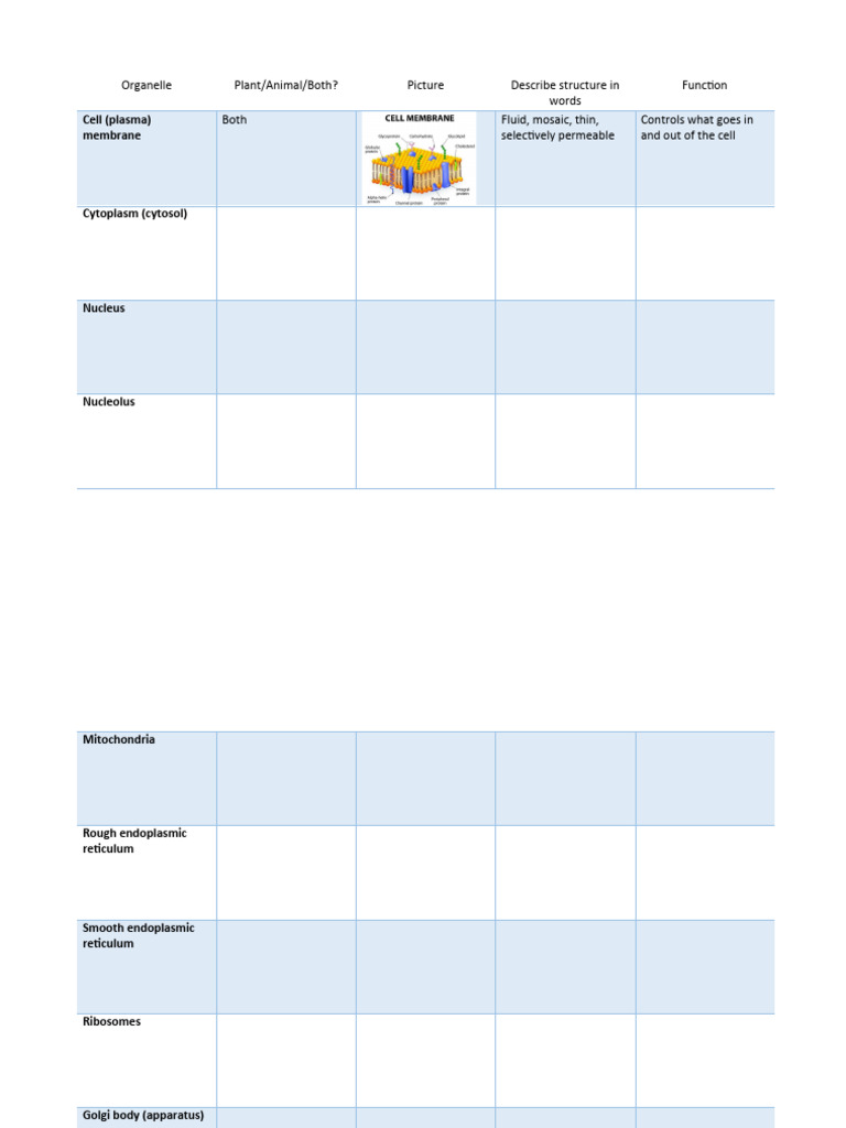 Cell Organelles Overview | PDF | Wellness | Science & Mathematics