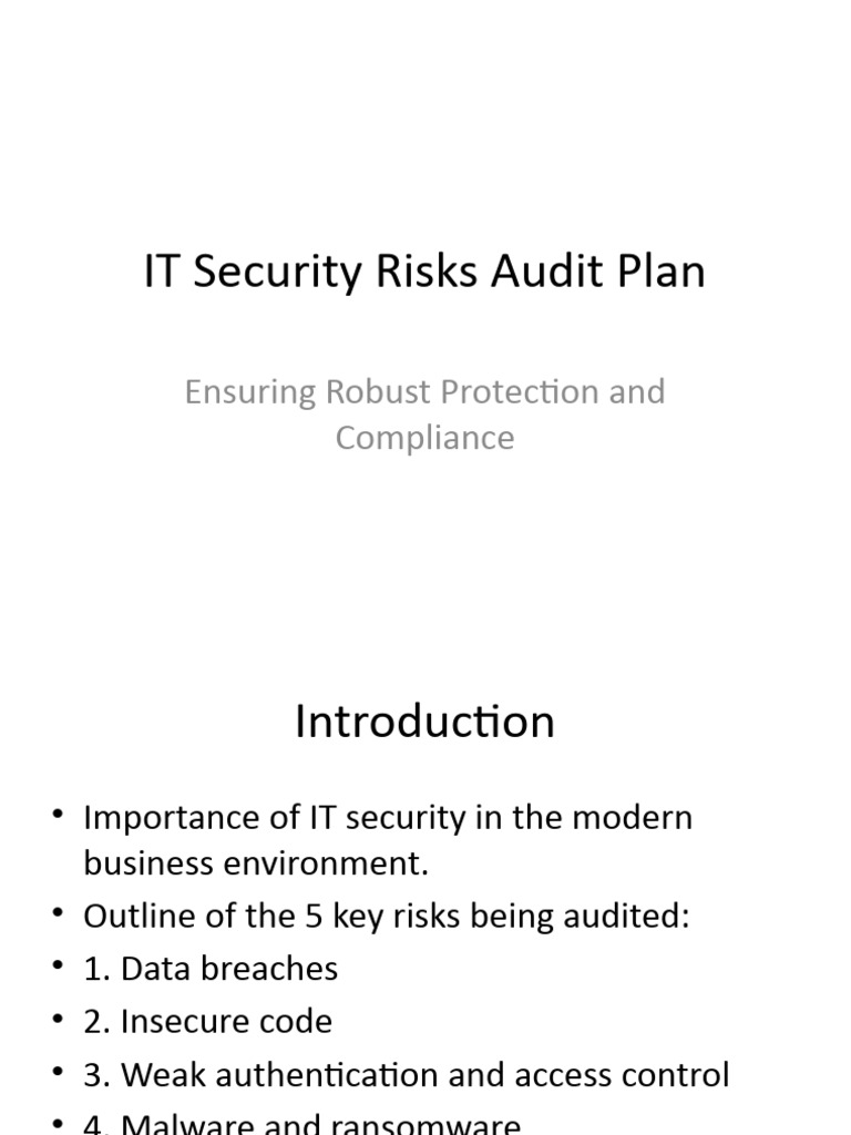 It Security Risks Audit Plan | PDF | Computers