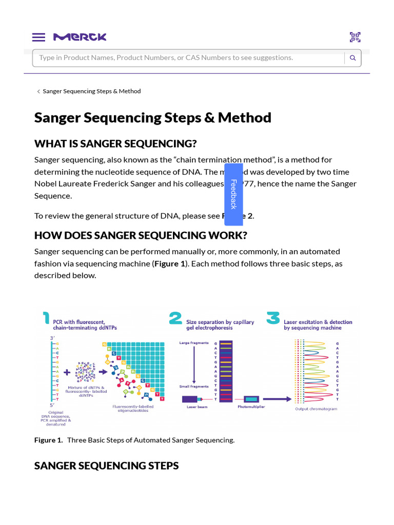 Sanger Sequencing Method Overview | PDF | Dna Sequencing | Gel ...