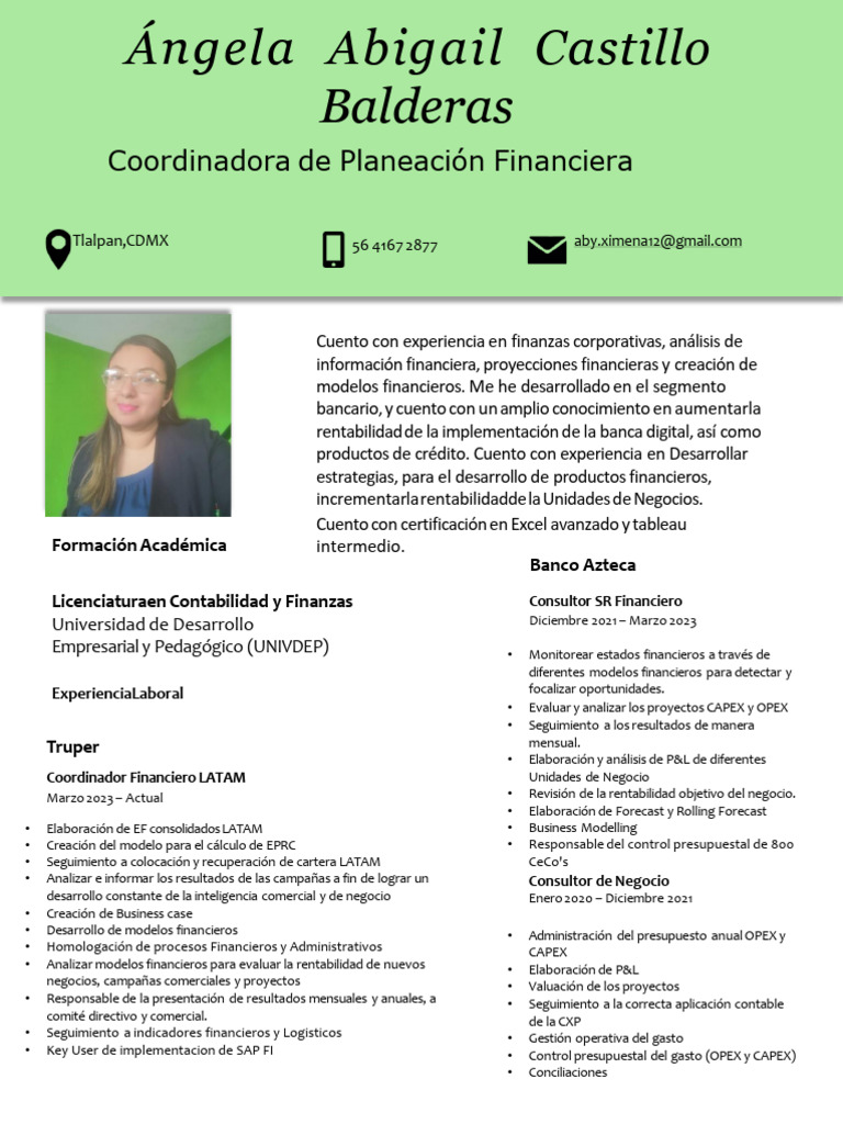 Castillo Balderas Angela Abigail CV | PDF | Negocios económicos | Business