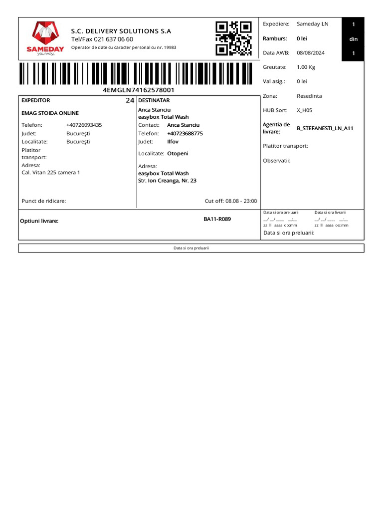 Delivery Details for Anca Stanciu | PDF