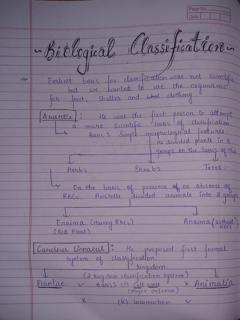 Biological Classification Part 1 | PDF