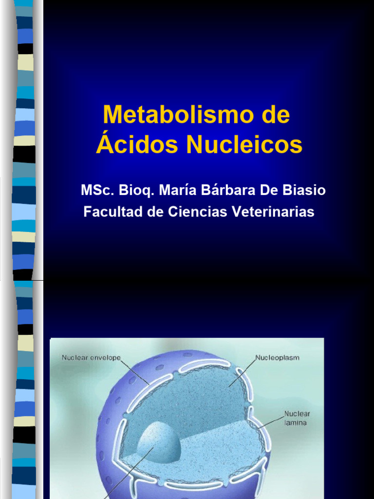 826489396.metabolismo de Acidos Nucleicos 2013 | PDF | Replicación De ...