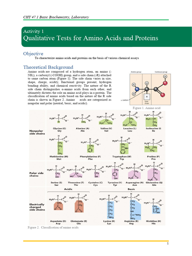 CHY 47.1 Amino Acids and Proteins 2nd Sem SY 2022 2023 | PDF | Amino ...