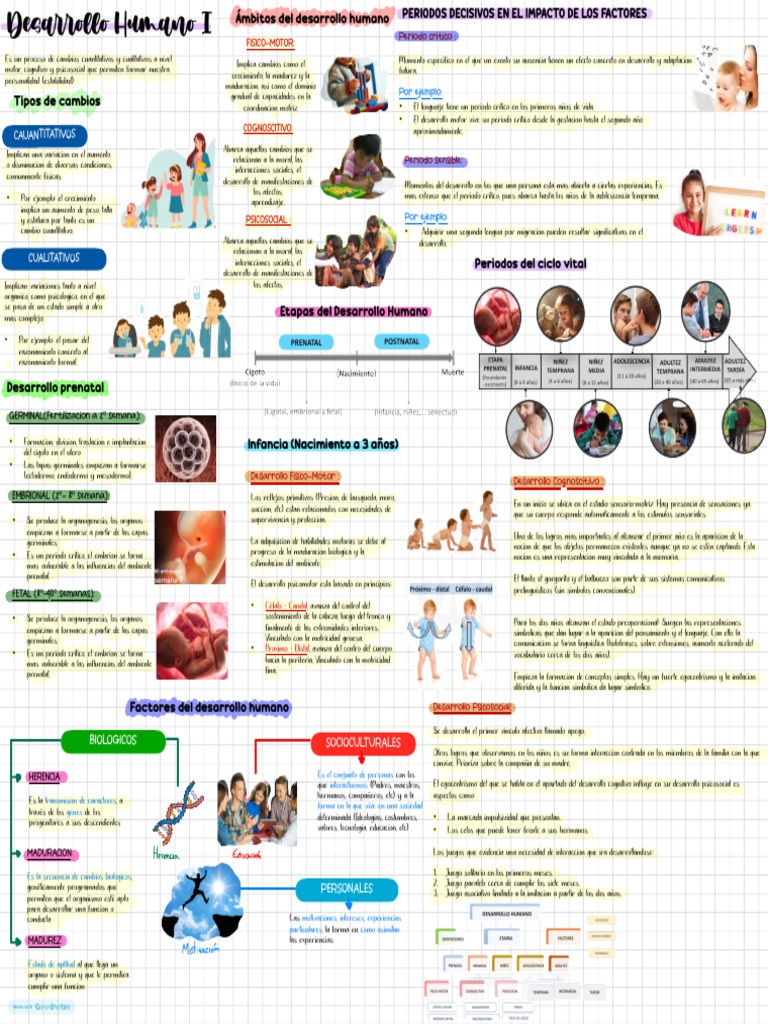 Resum Psico | PDF | Adolescencia | Aprendizaje