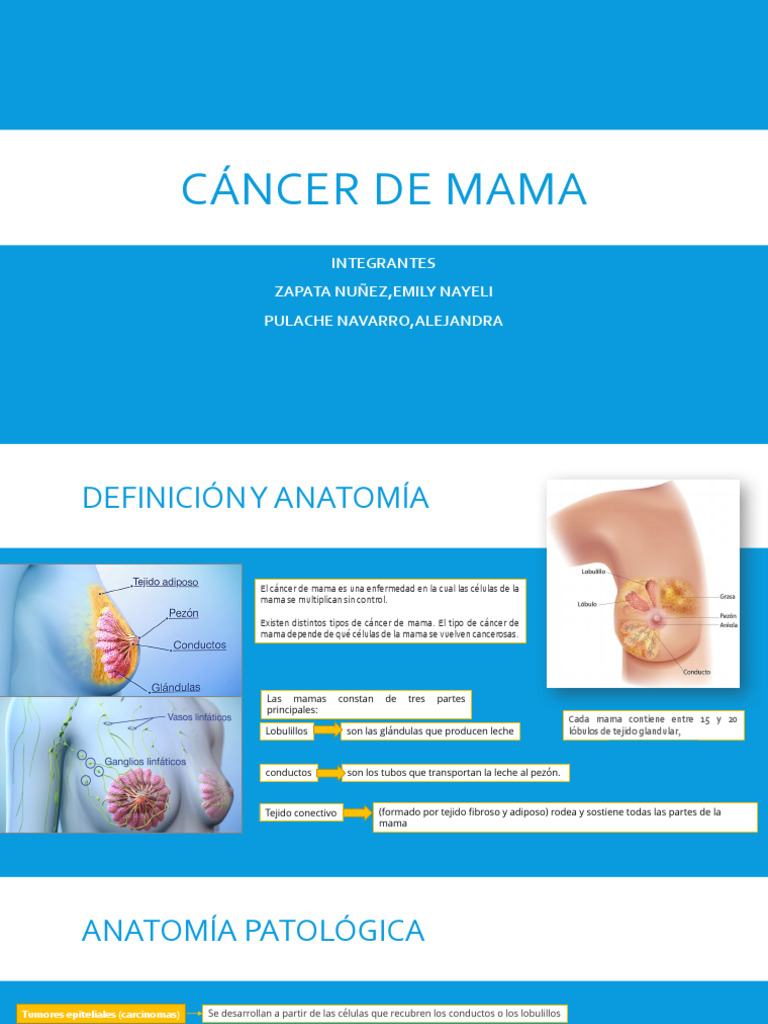 Guía Completa sobre Cáncer de Mama | PDF | Cáncer de mama | Cáncer