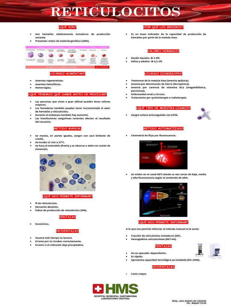 RETICULOCITOS | PDF | Vertebrados | Histología