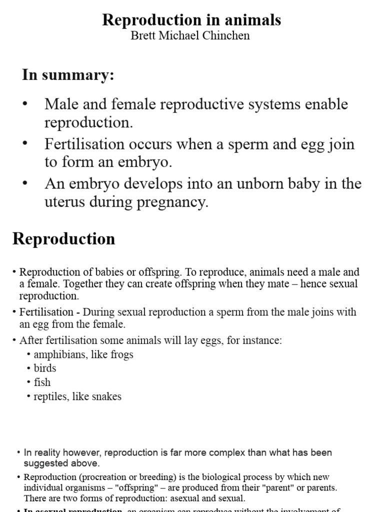 Reproduction in Animals | PDF | Sexual Reproduction | Reproduction