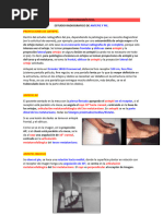 Radiografías del Pie: AP, Lateral y Oblicua | PDF | Pie | Extremidades ...