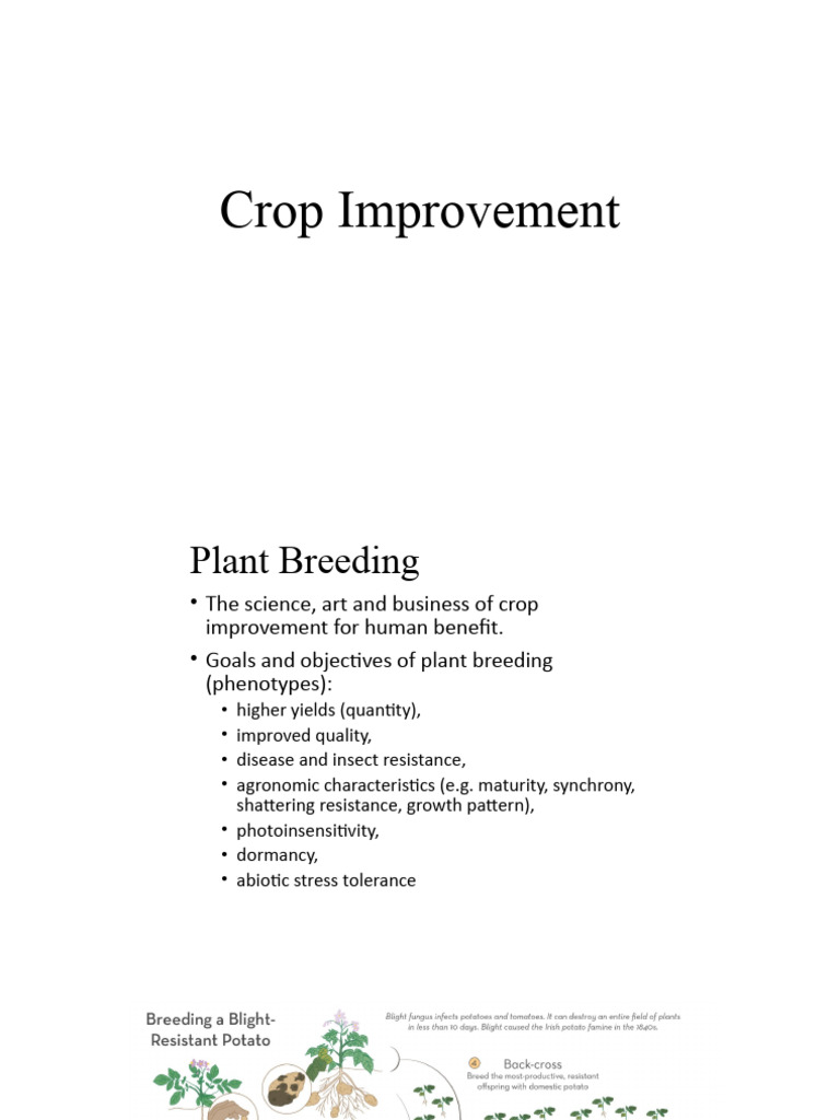 Crop Improvement | PDF | Dominance (Genetics) | Zygosity