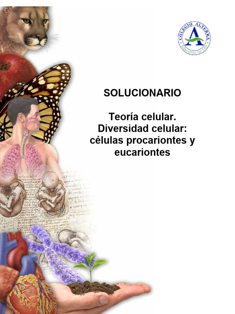 Teoría celular y tipos de células | PDF | Biología Celular) | Eucariotas