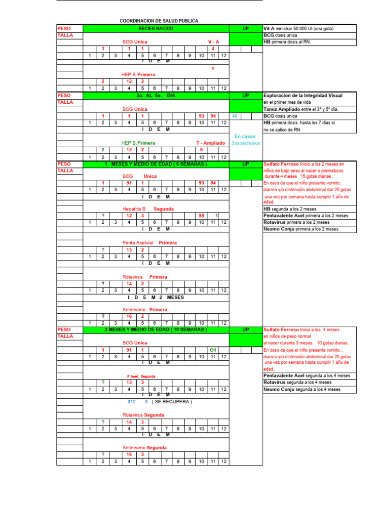 Guia para Llenado de Hoja Rais | PDF | Obesidad | Diabetes