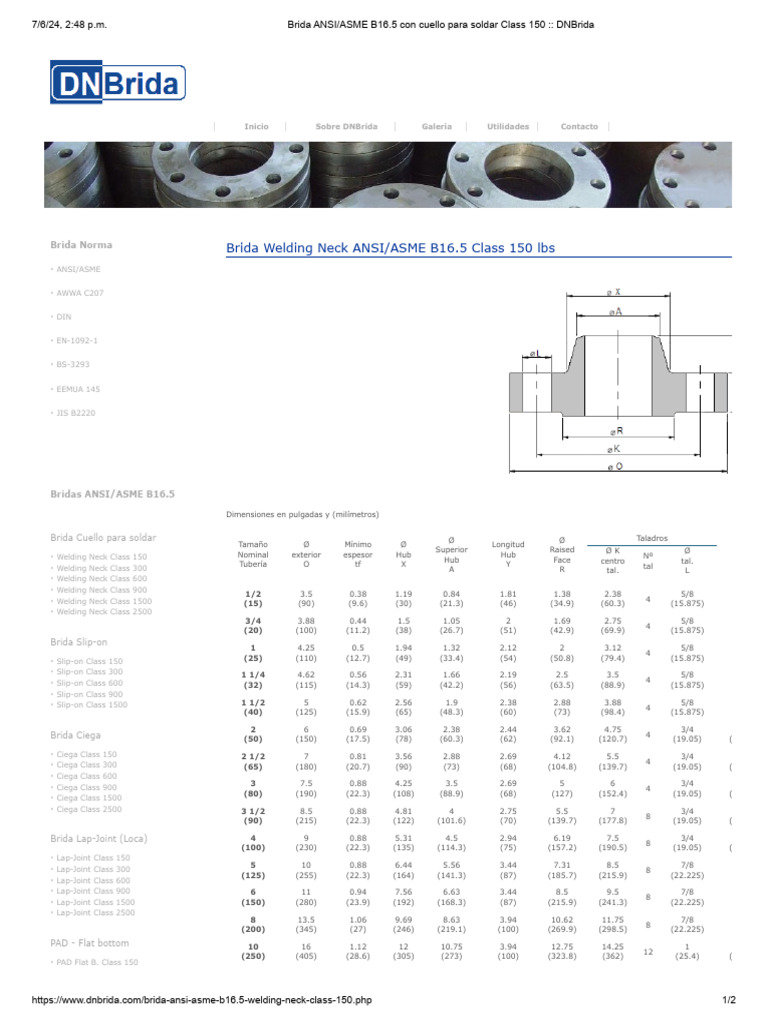 01.-Brida ANSI - ASME B16.5 WN Class 150 DNBrida | PDF