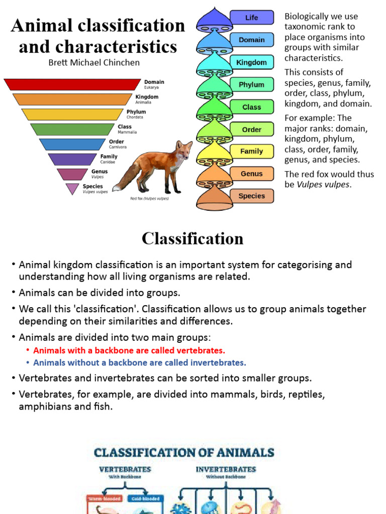 Animal Classification and Characteristics | PDF | Reptile | Amphibian