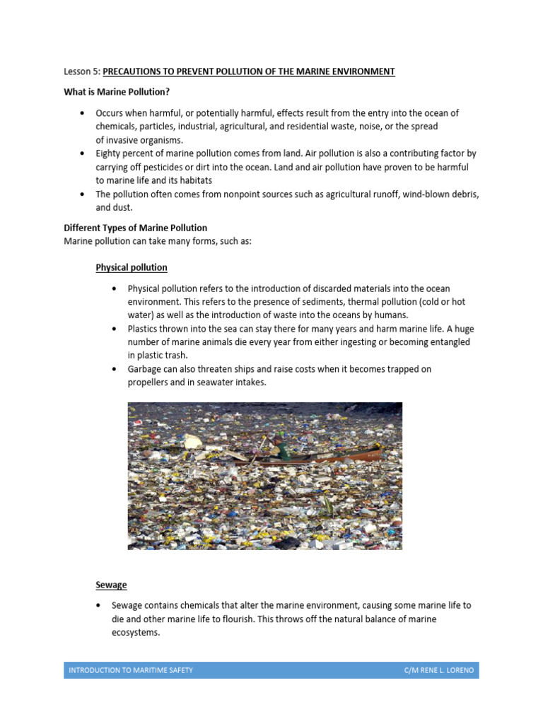 Lesson 5 Precaution To Prevent Pollution | PDF | Pollution | Sea