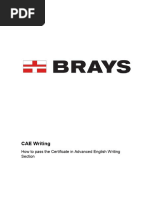 CAE C1 Vocabulary List | PDF