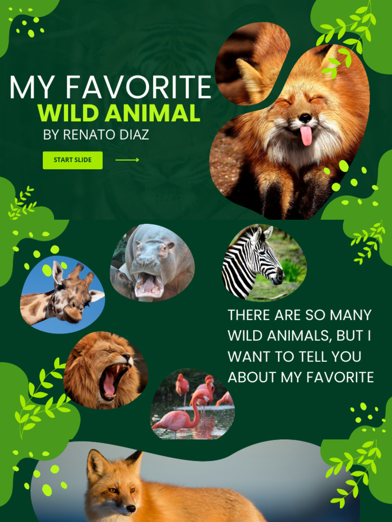 My Favorite Wild Animal - Renato Díaz | PDF