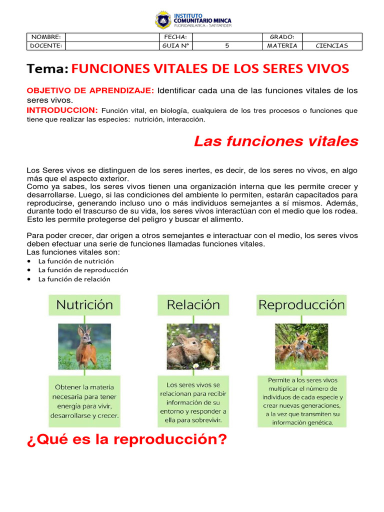 Funciones Vitales de los Seres Vivos | PDF | Reproducción | Masculino